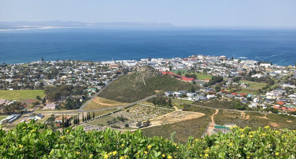 Home - Hermanus Public Protection