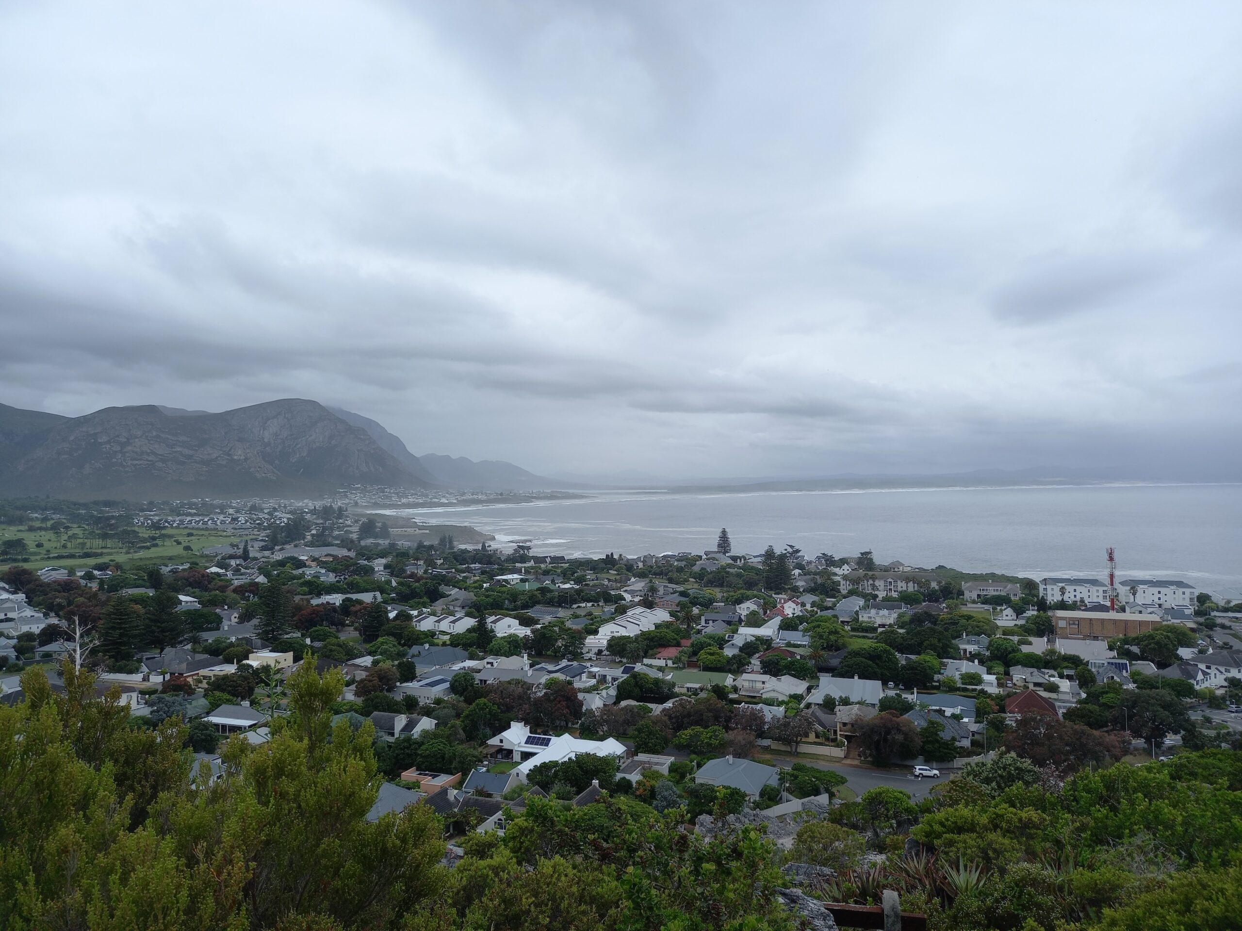 HPP Newsletter - January 2024 - Hermanus Public Protection